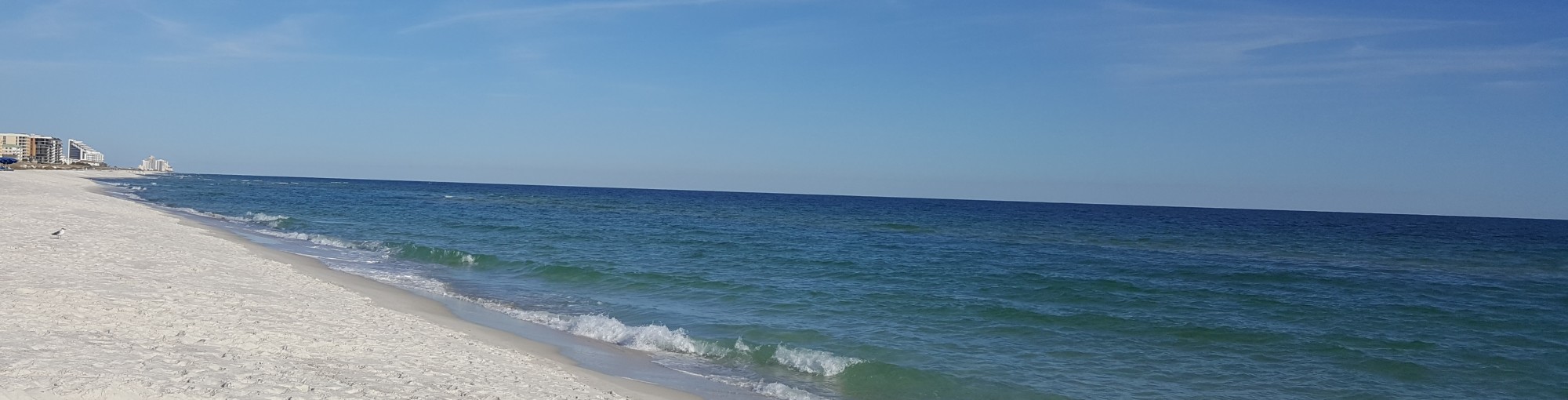 MichelleSellstheBeach